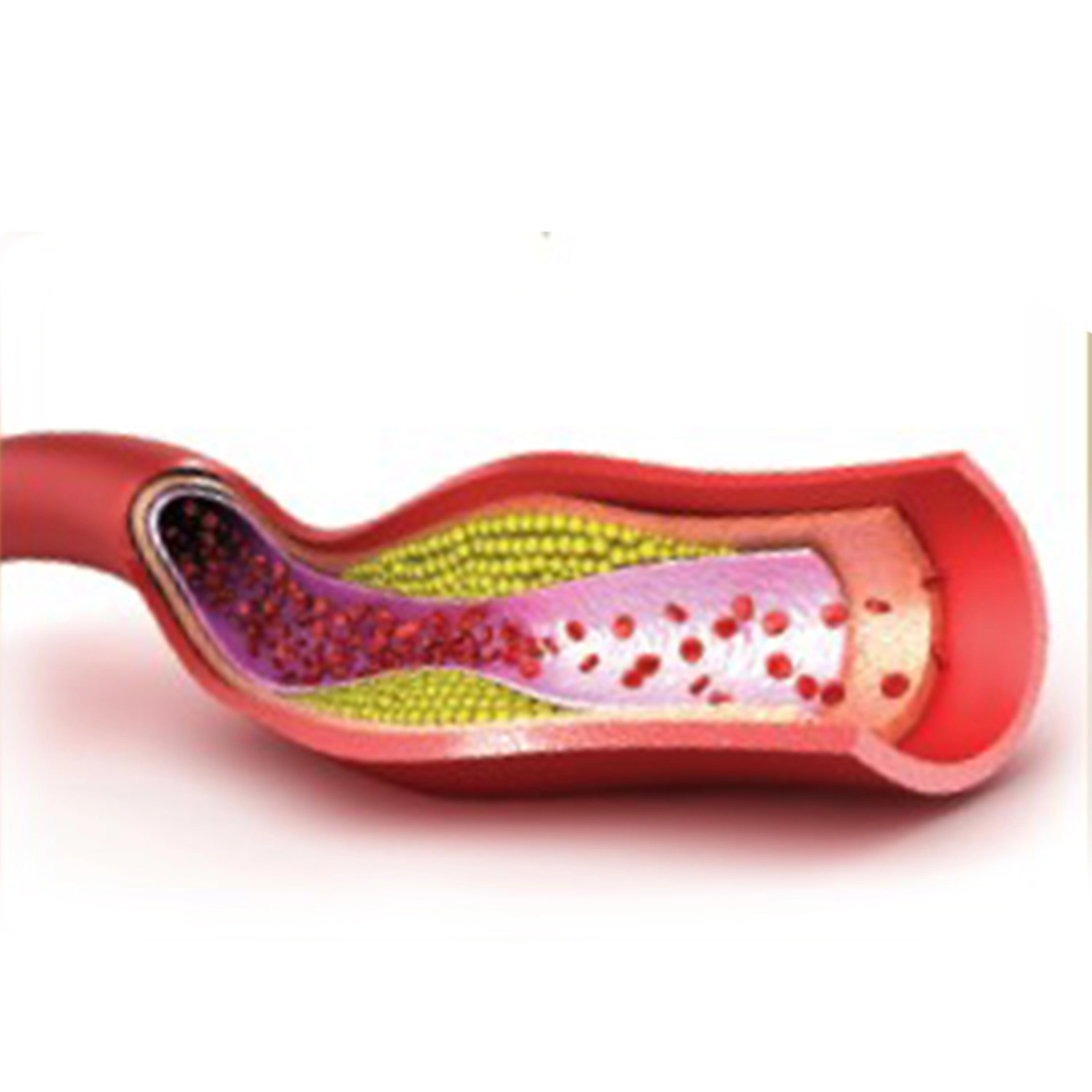 Pentacare | Product Details | Lashuna Ghanavati