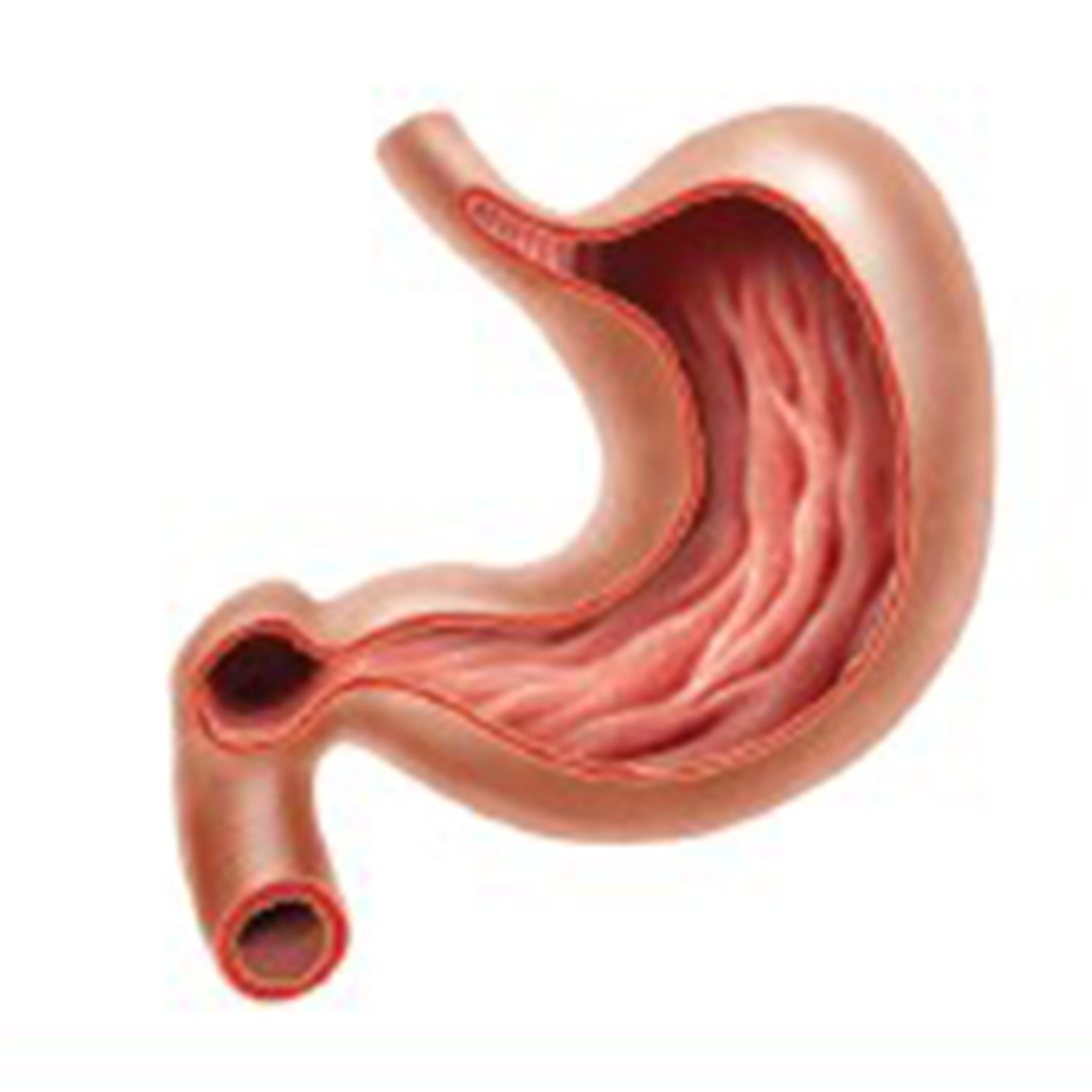 Pentacare | Product Details | Lashuna Ghanavati